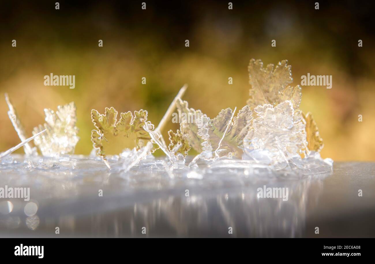 Natural Ice Sculpture Stock Photo - Alamy