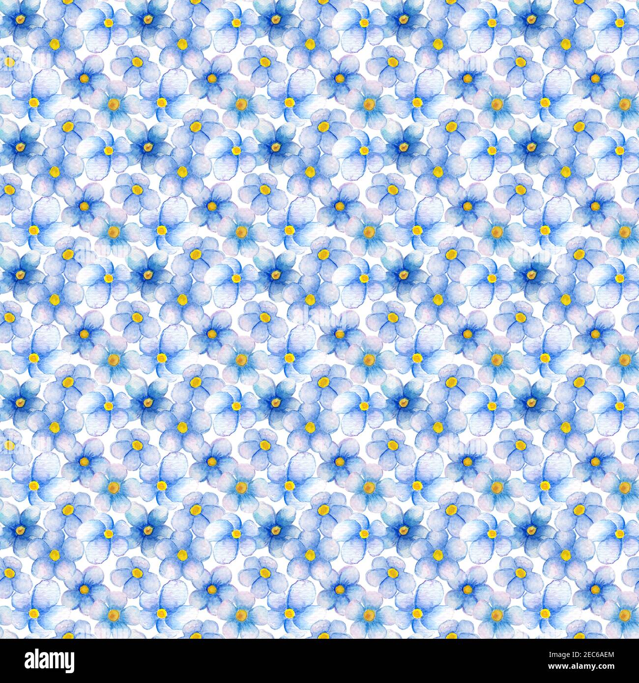 Pale blue flower seamless pattern. Hand-painted watercolor floral ...