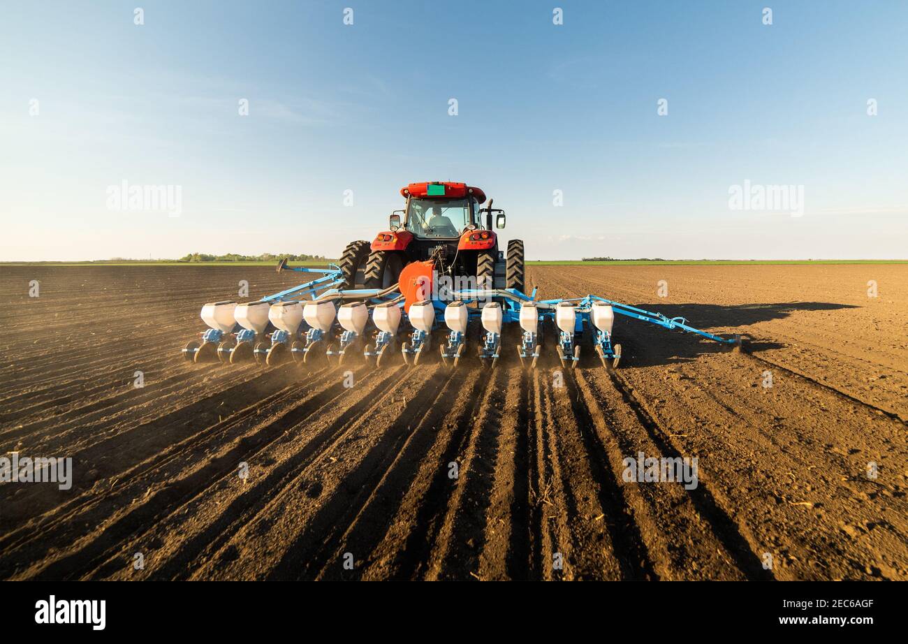 Farmer with tractor seeding - sowing crops at agricultural field ...
