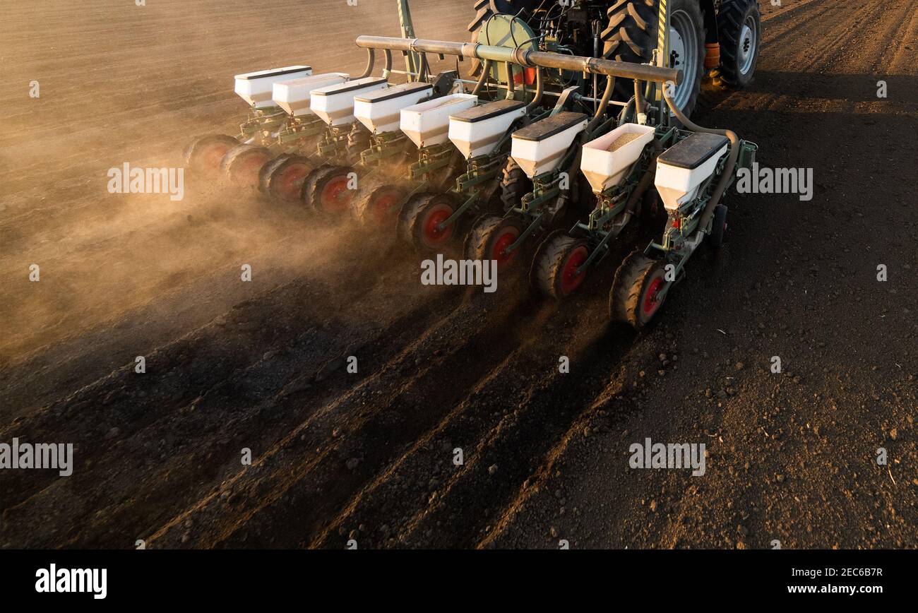 Farmer with tractor seeding - sowing crops at agricultural field ...