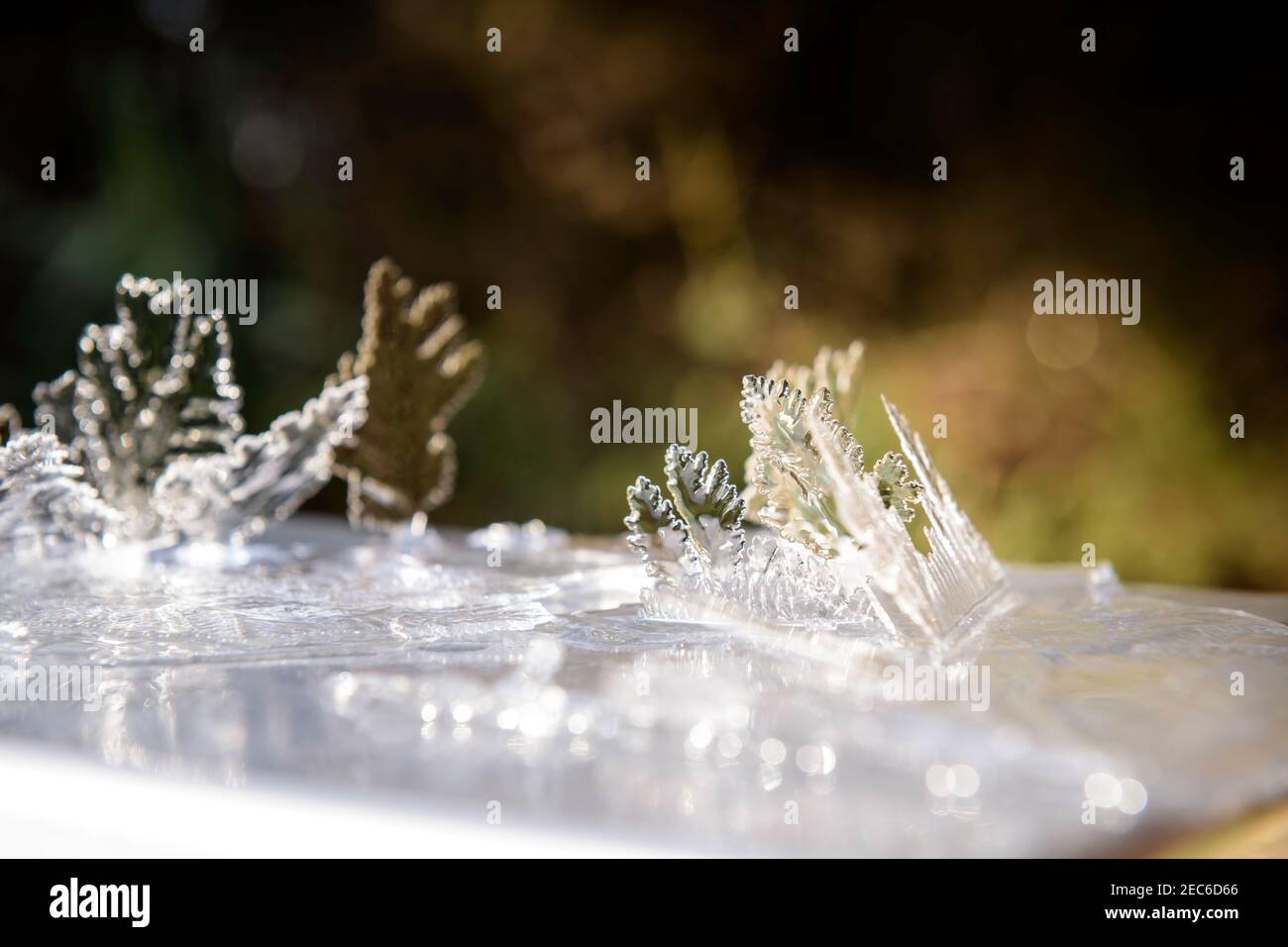 Natural Ice Sculpture Stock Photo - Alamy