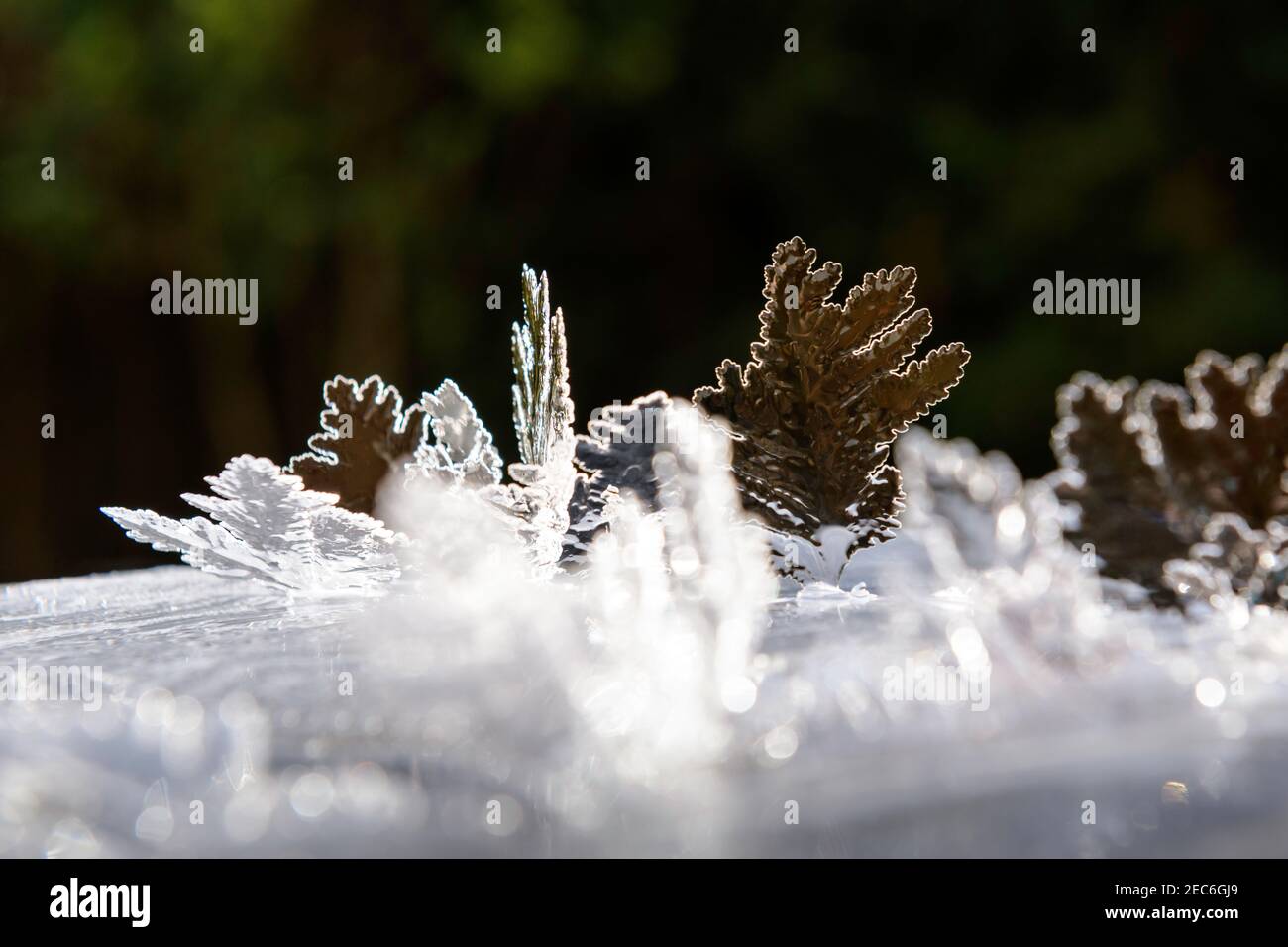 Natural Ice Sculpture Stock Photo - Alamy