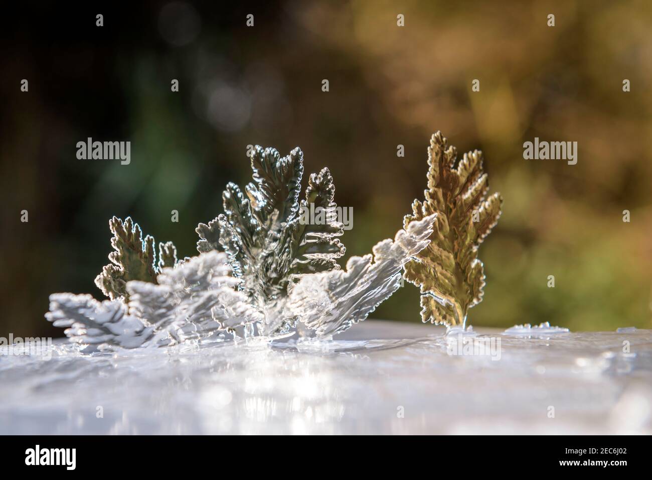 Natural Ice Sculpture Stock Photo - Alamy