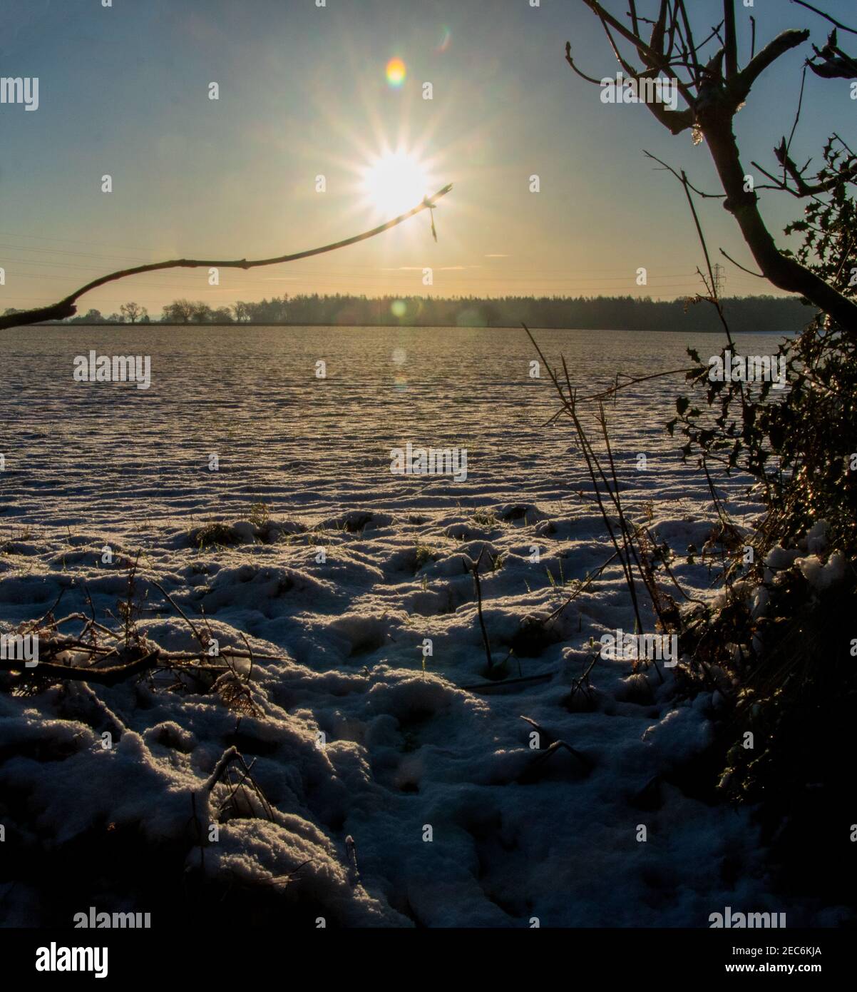 Spring scape hi-res stock photography and images - Alamy