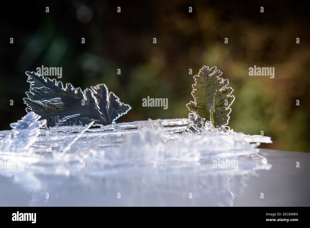 Natural Ice Sculpture Stock Photo - Alamy