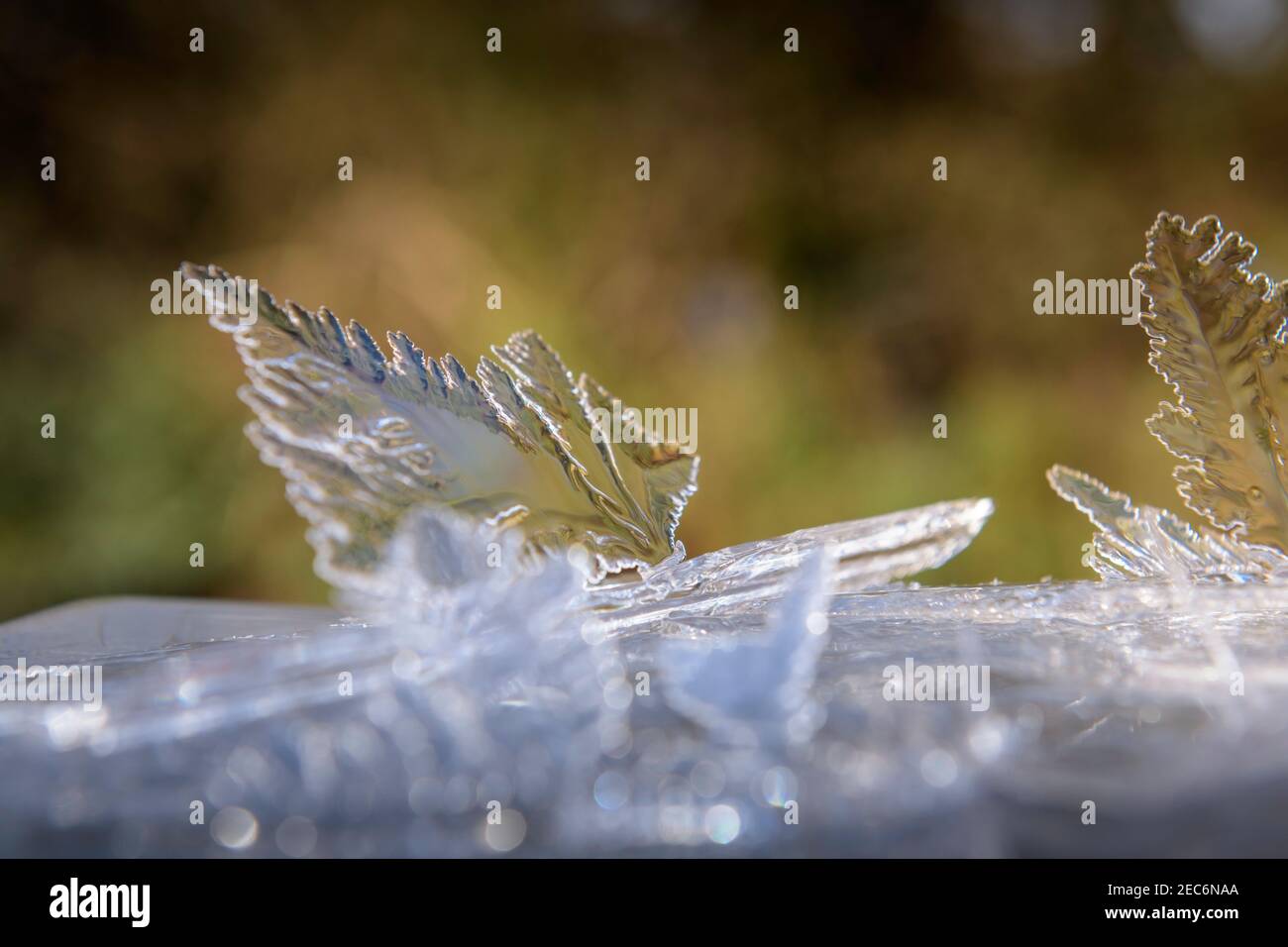 Miniature ice sculpture hi-res stock photography and images - Alamy