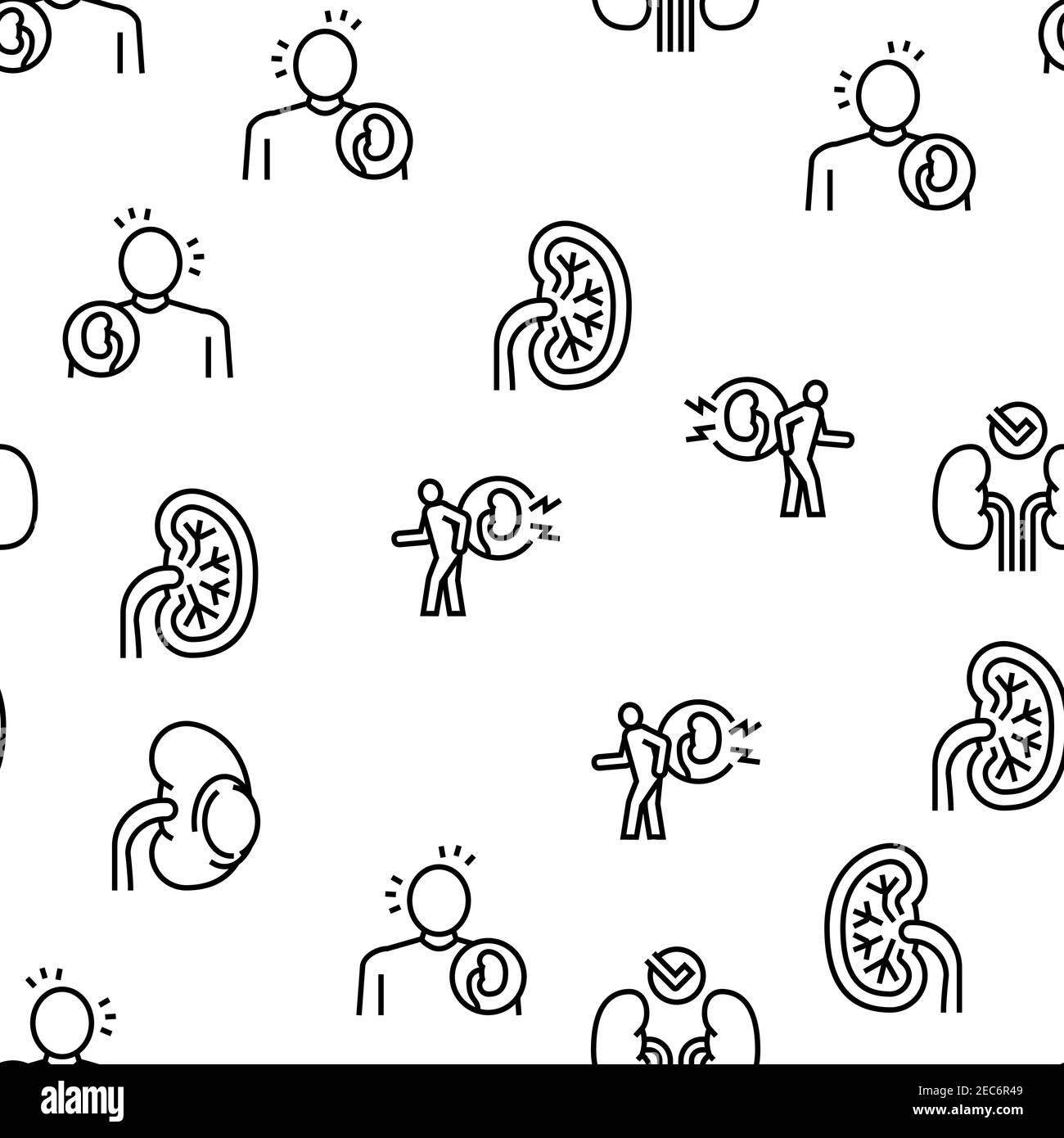 Nephritis Kidneys Vector Seamless Pattern Stock Vector Image & Art - Alamy