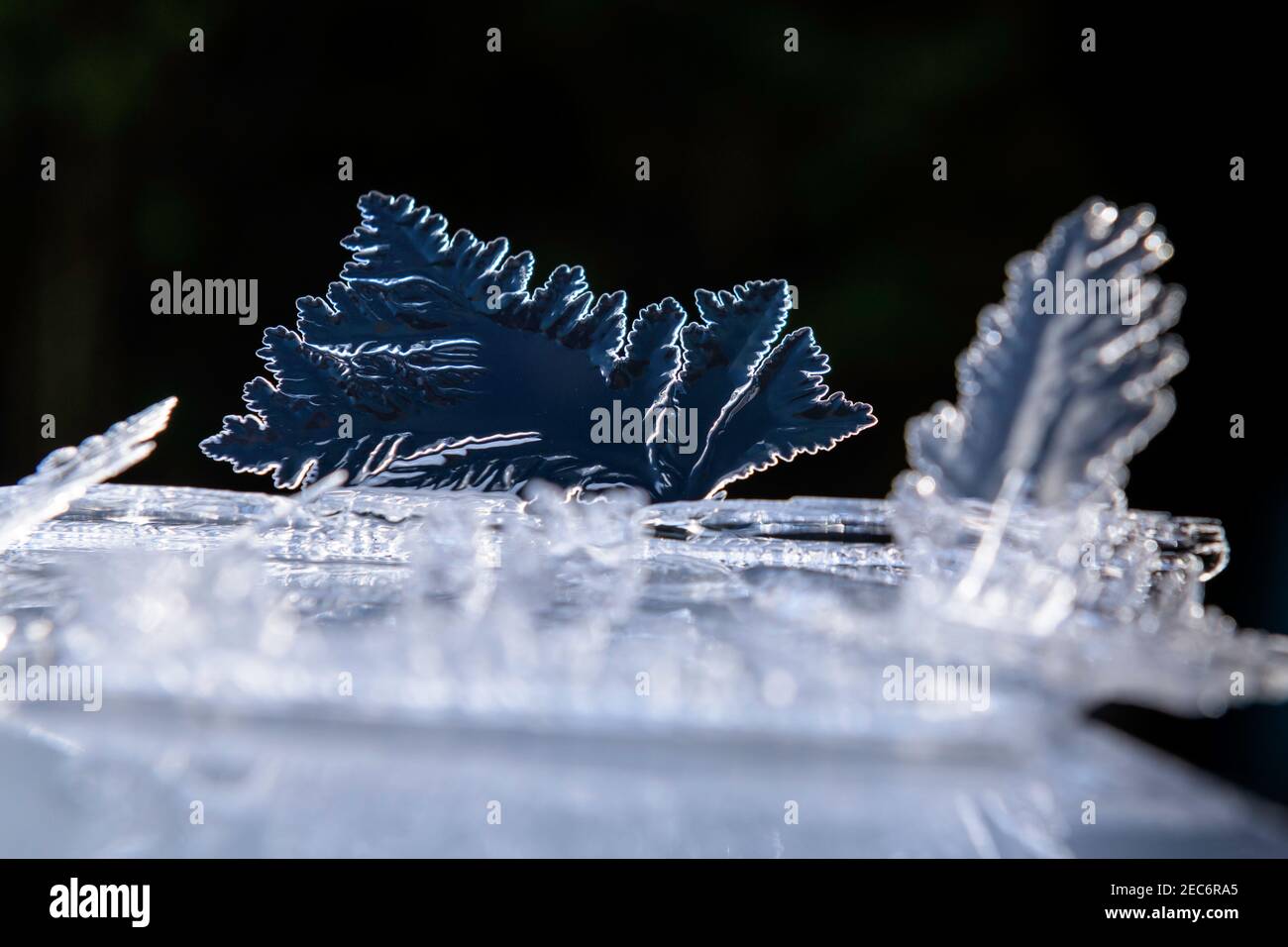 Natural Ice Sculpture Stock Photo - Alamy