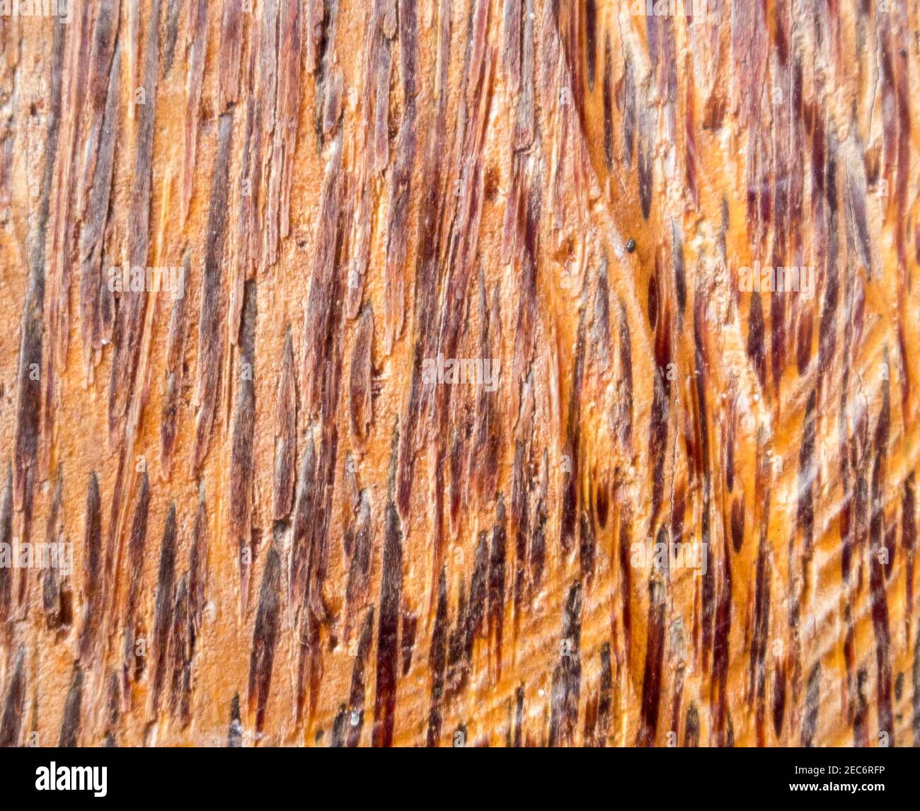 Natural wood texture with warm yellow color. Wooden texture closeup ...