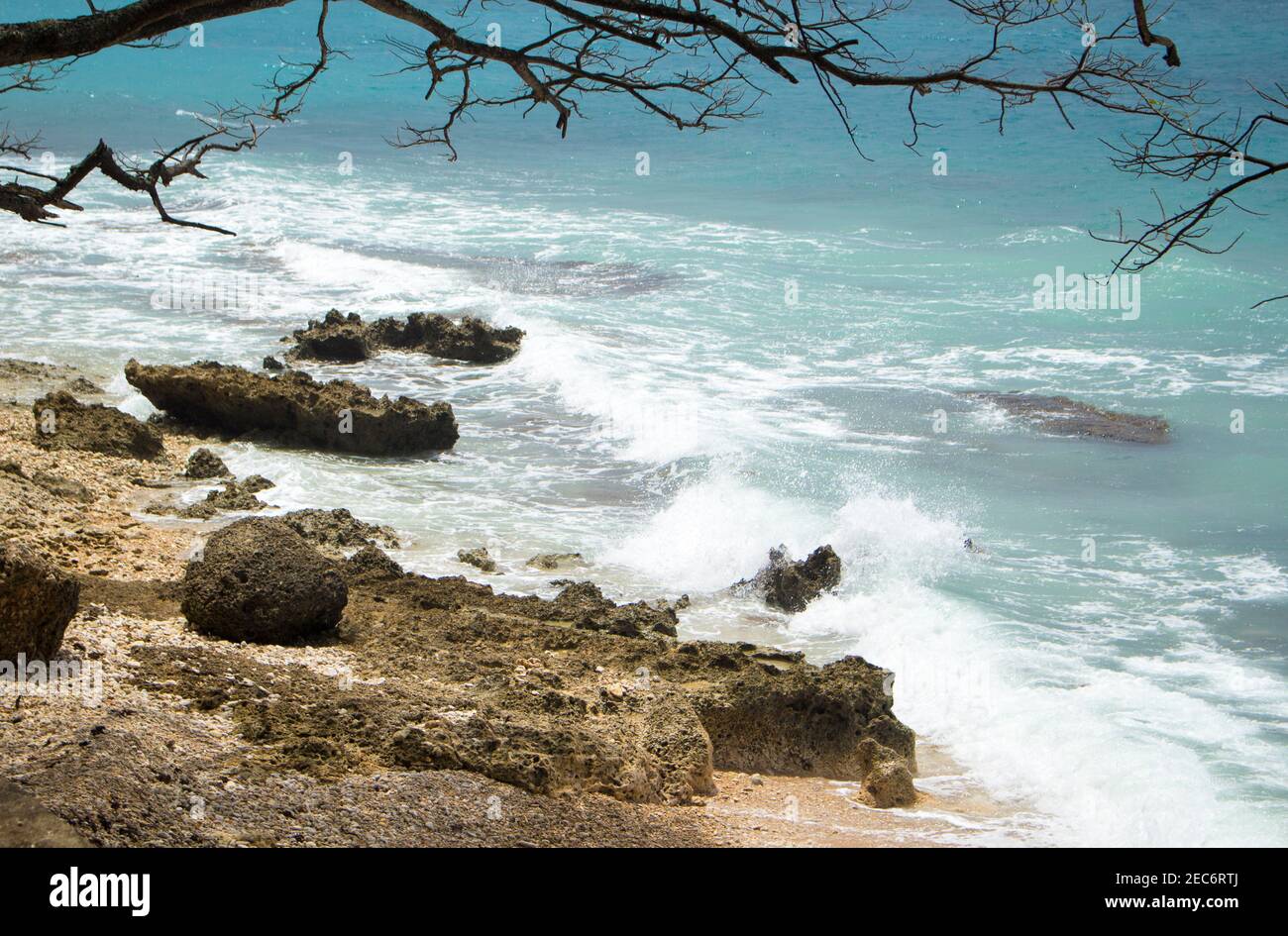 Beautiful seashore with sea wave over rocks and black tree branch ...