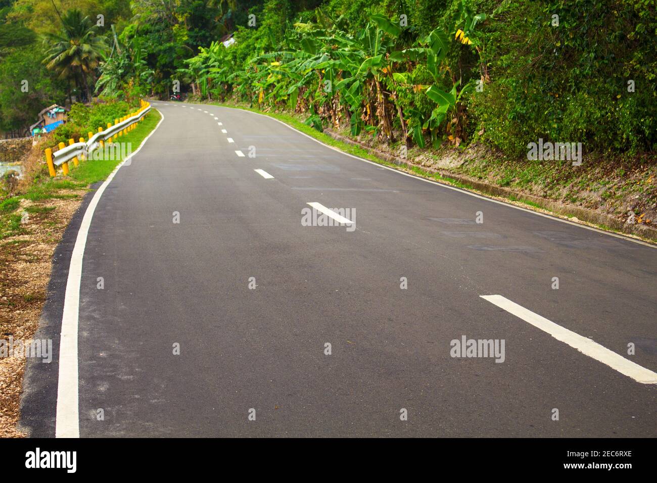 Palm trees tropical roadside hi-res stock photography and images - Alamy