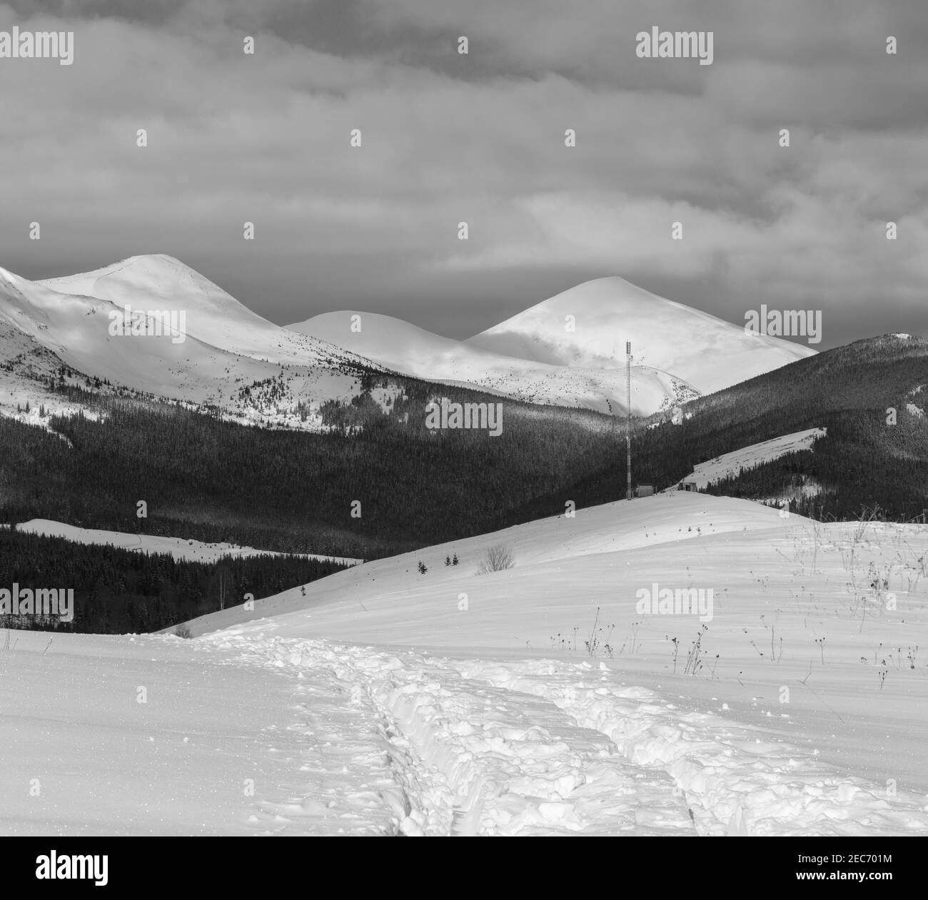 Grayscale. Sledge trace and footprints on winter mountain hill top and ...