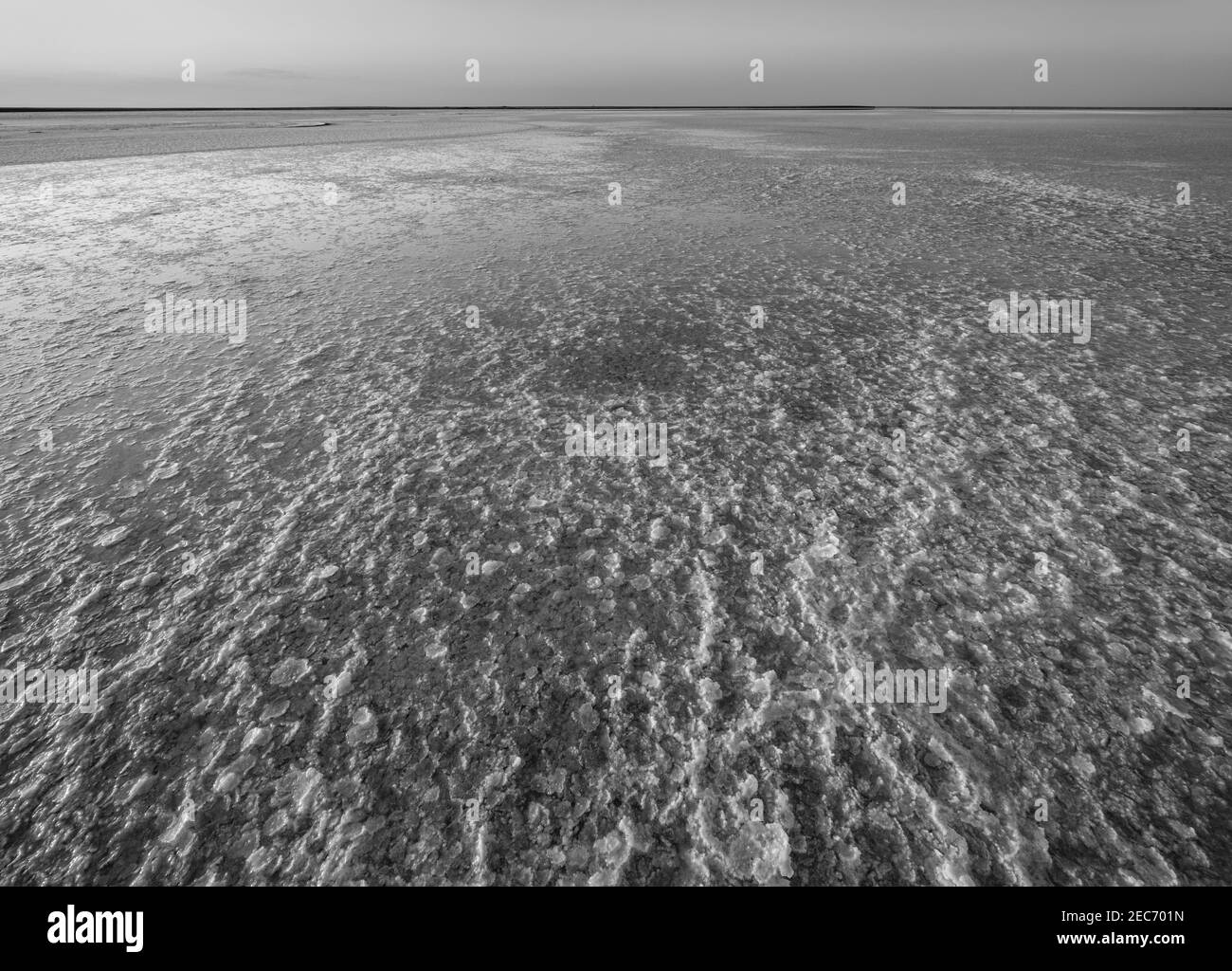 Grayscale. Sunset on the Genichesk pink extremely salty lake (colored ...