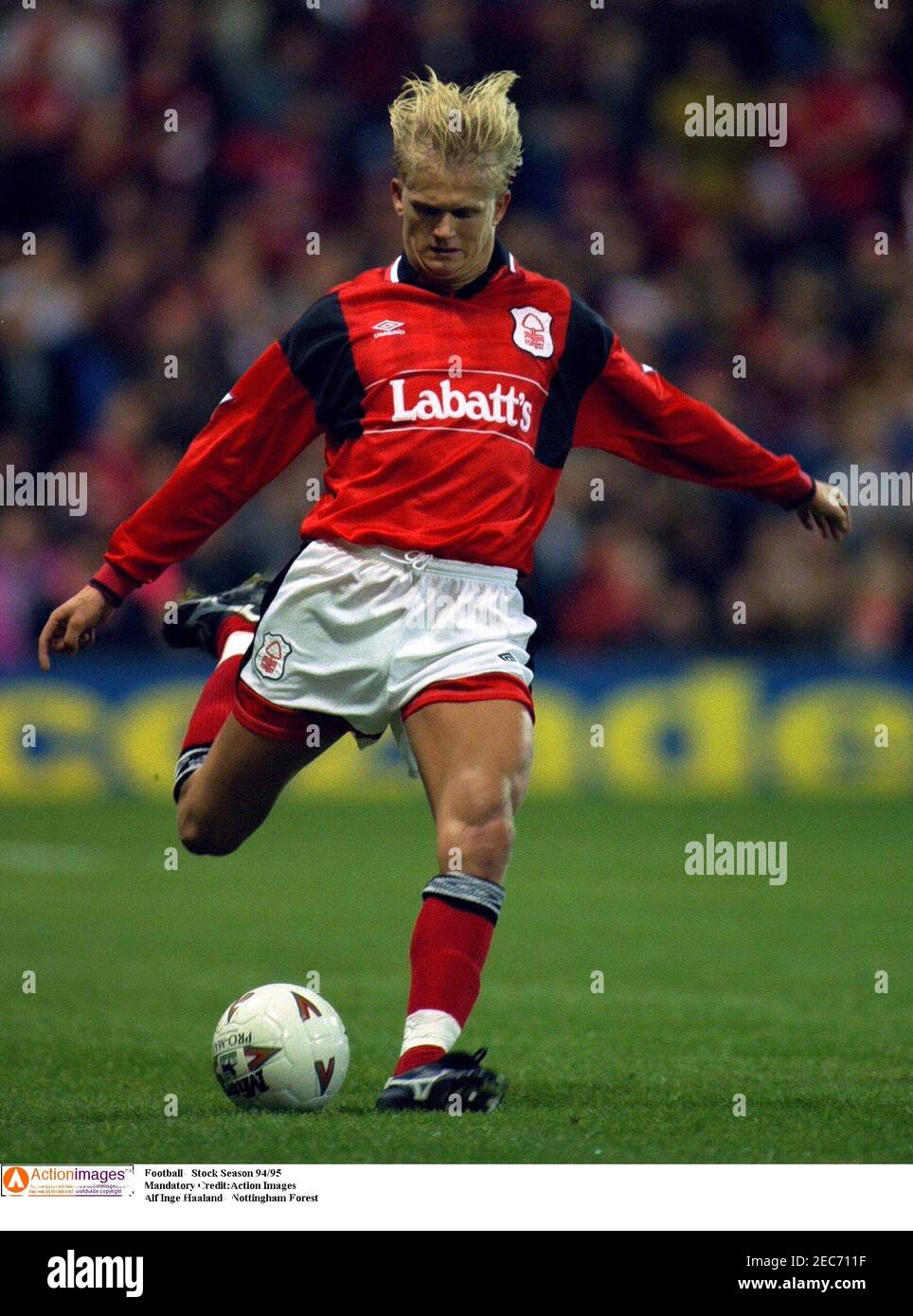 Alf inge haaland nottingham forest hi-res stock photography and images ...