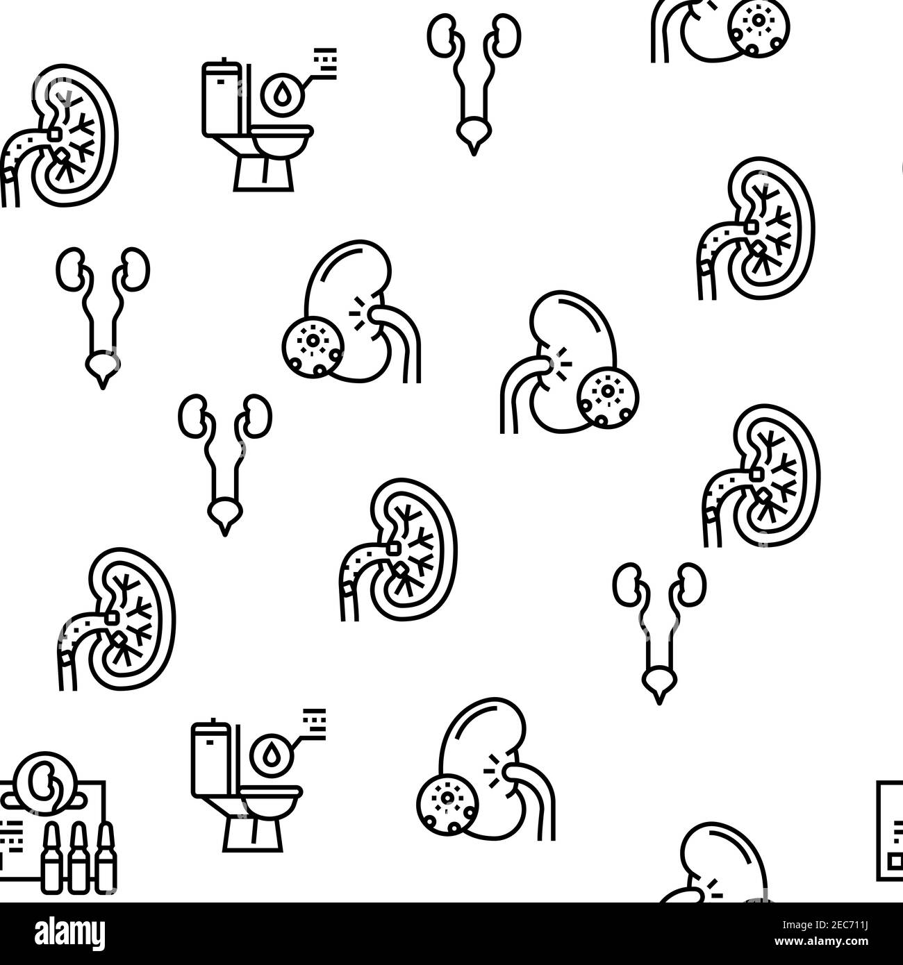 Nephritis Kidneys Vector Seamless Pattern Stock Vector Image & Art - Alamy