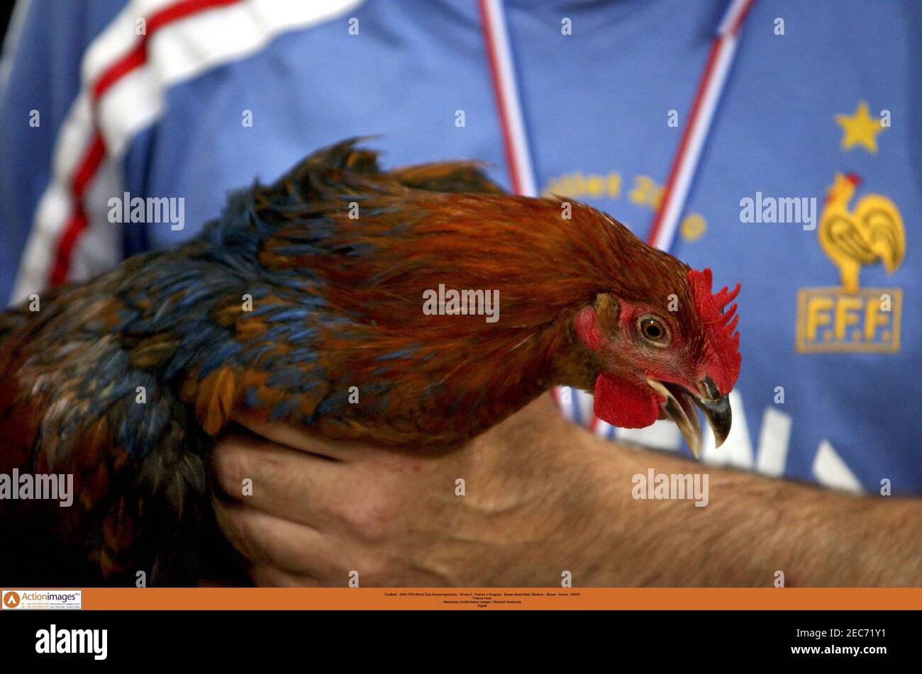 2002 busan stadium hi-res stock photography and images - Alamy