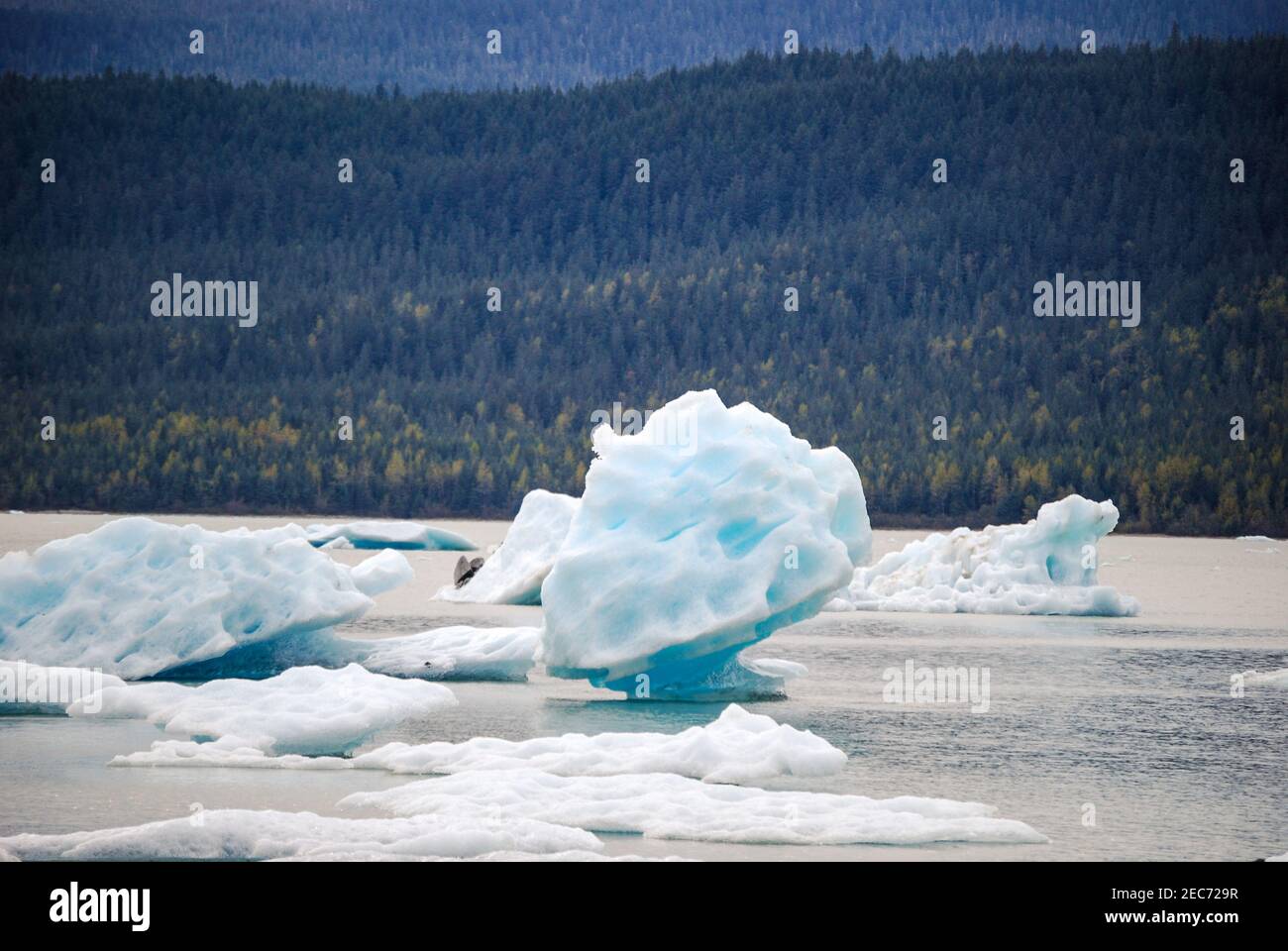 small ice formation in a bay in Alaska Stock Photo - Alamy