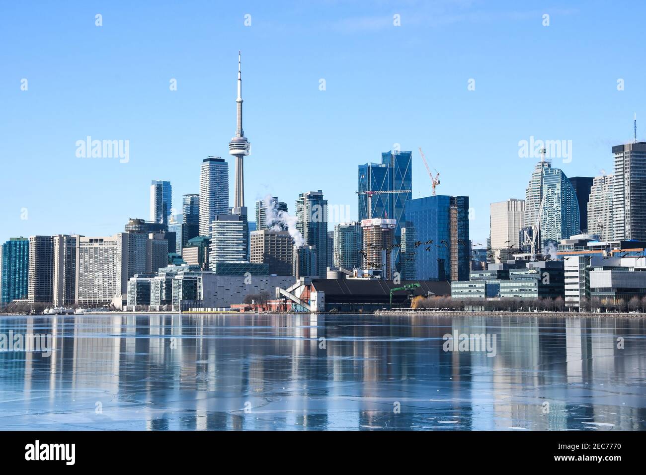 Toronto Skyline at Polson Pier in Winter Stock Photo - Alamy
