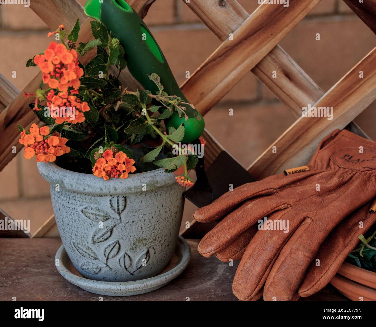 Gardening flower pot hi-res stock photography and images - Alamy