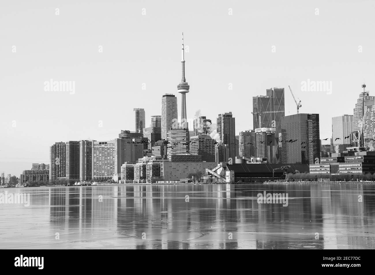 Toronto Skyline at Polson Pier in Winter Stock Photo - Alamy