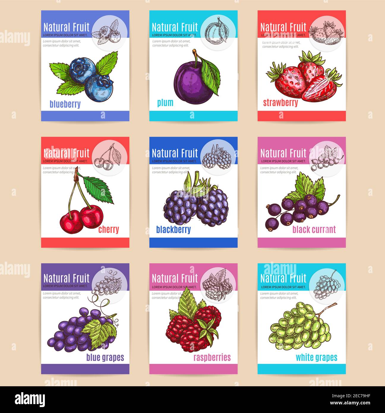 Natural fruits and berries with titles. Poster with vector sketch icons ...