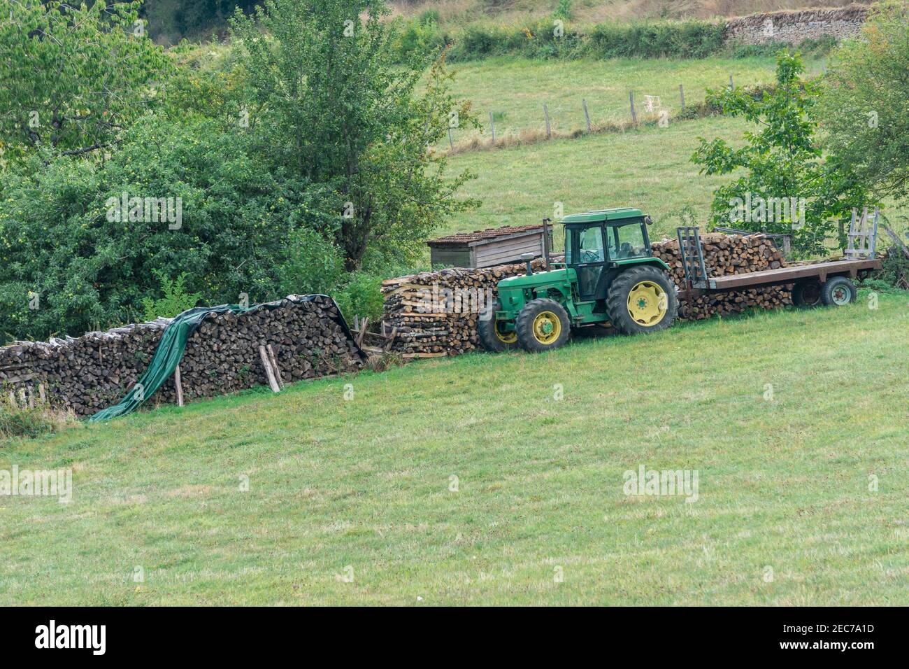 Line of firewood with tractor on landscape with green trees in autumn ...