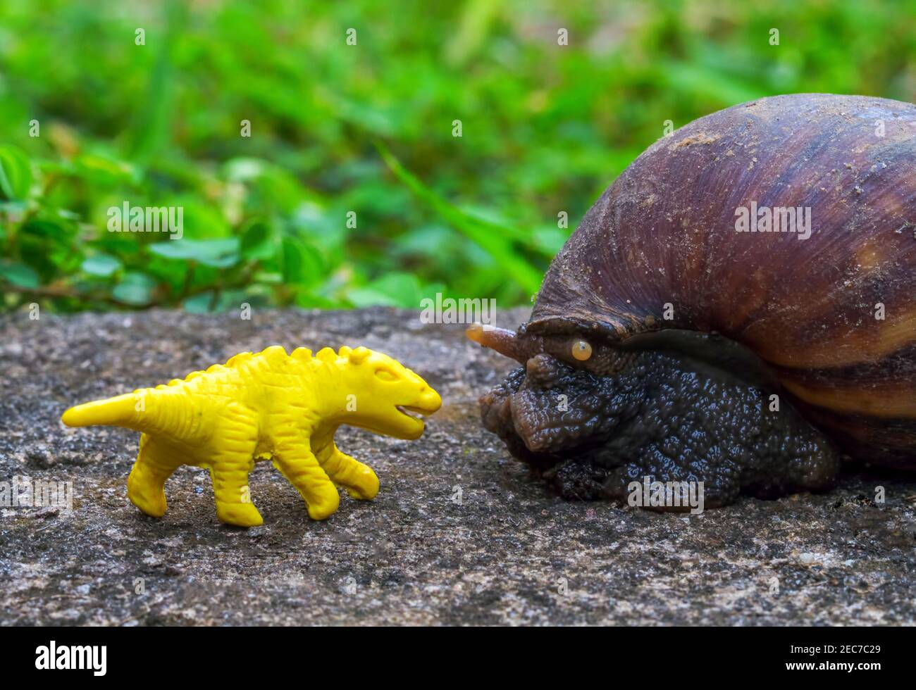 Yellow dinosaur puppet and Giant snail in garden. Funny monsters macro ...