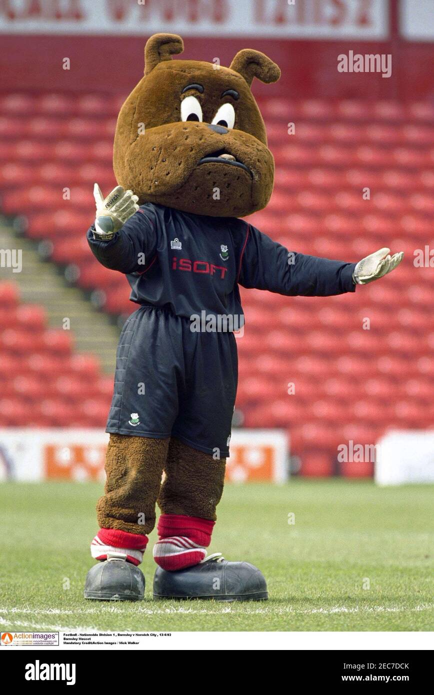 Norwich City Mascot High Resolution Stock Photography and Images - Alamy