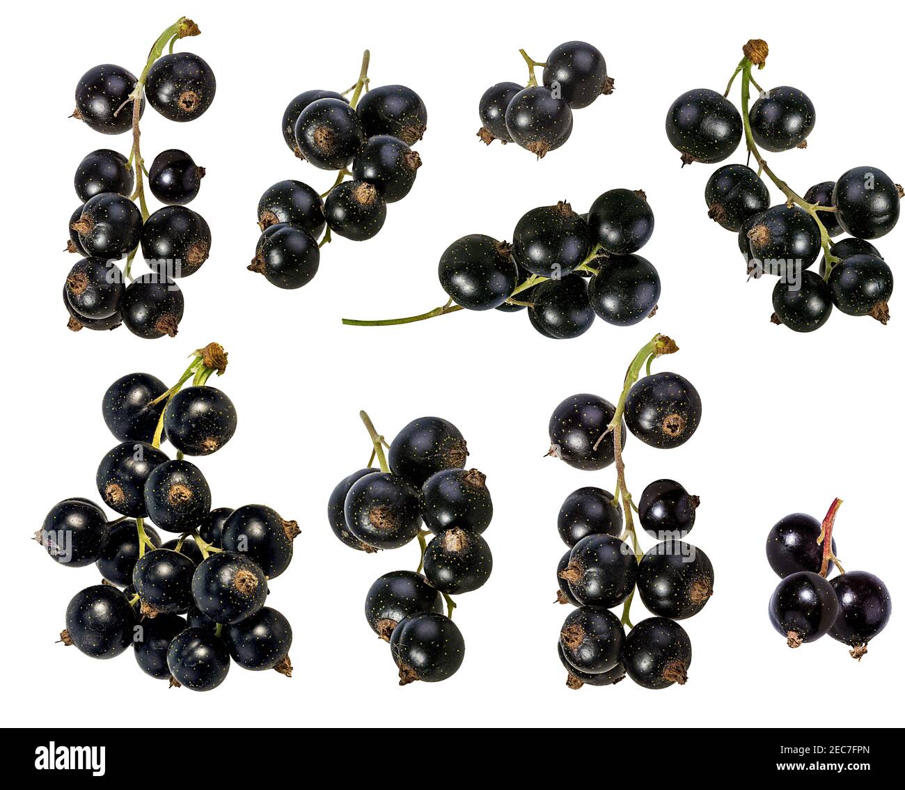 Currant isolated on white background Stock Photo - Alamy