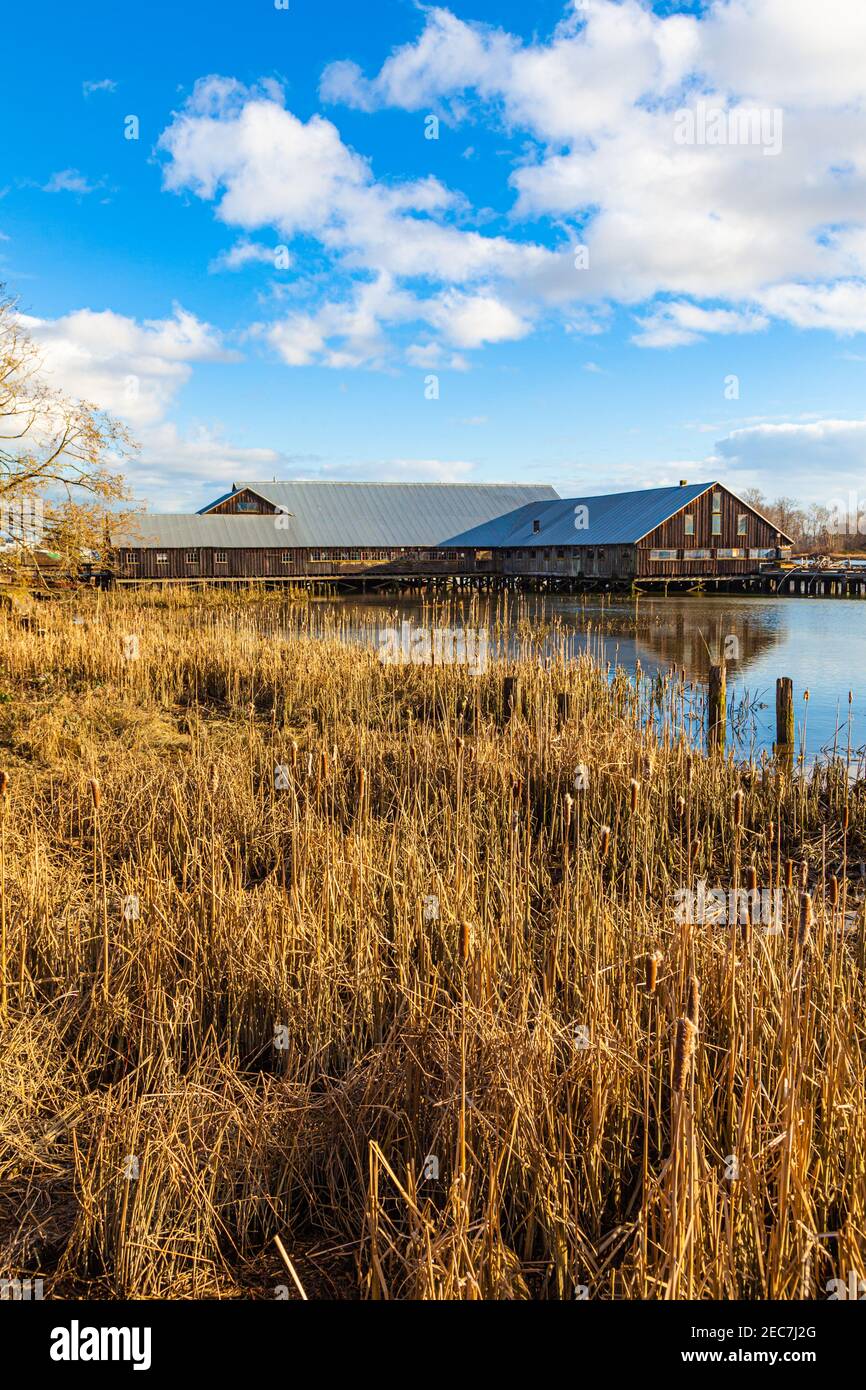 Wood marsh architecture hi-res stock photography and images - Alamy