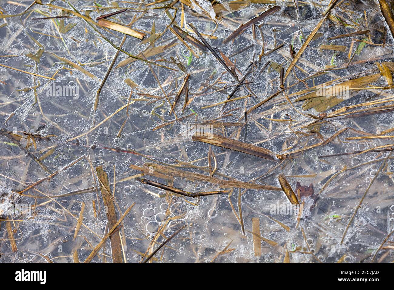 Thin layer of frozen water hi-res stock photography and images - Alamy