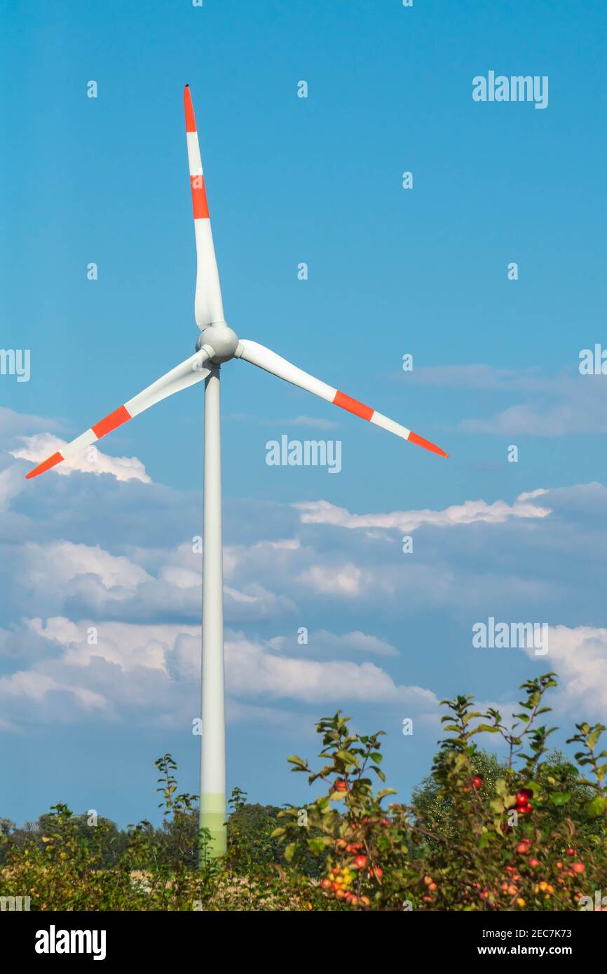 Wind turbine in meadow with apple trees in first plan and on blue ...