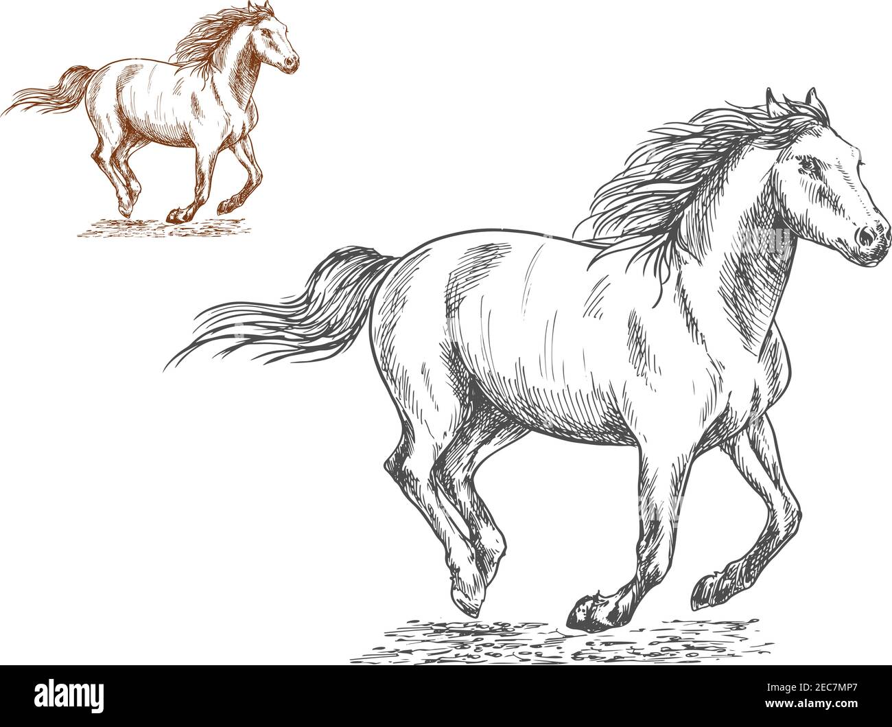 Running horses pencil sketch portrait. Brown and white mustang ...