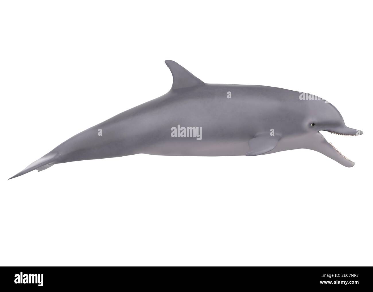 Isolated 3d underwater hi-res stock photography and images - Alamy