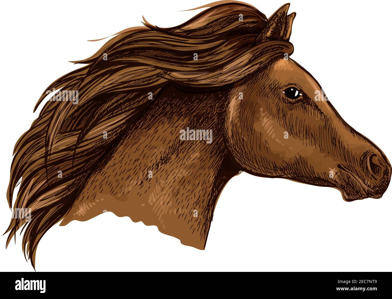 Sketched brown horse head icon of purebred racehorse with flying mane ...