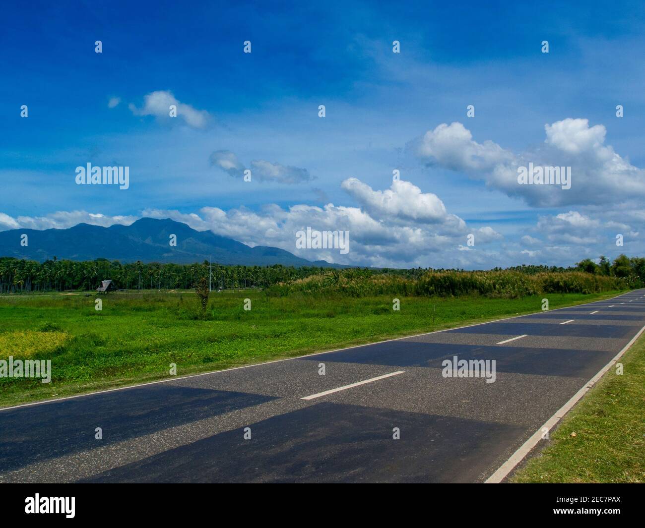 Summer landscape with road through rural land. Tropical nature bright ...