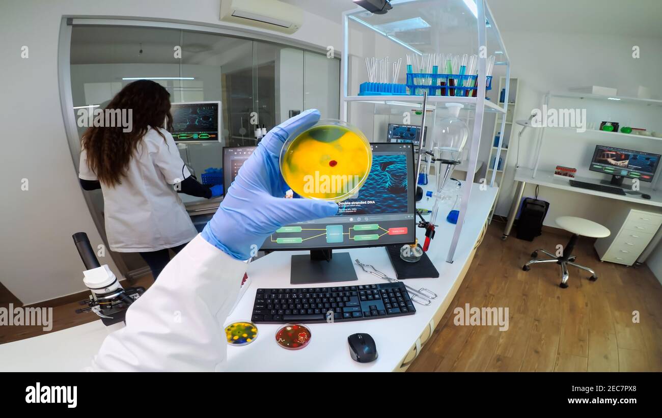Pov doctor examining petri dish hi-res stock photography and images - Alamy