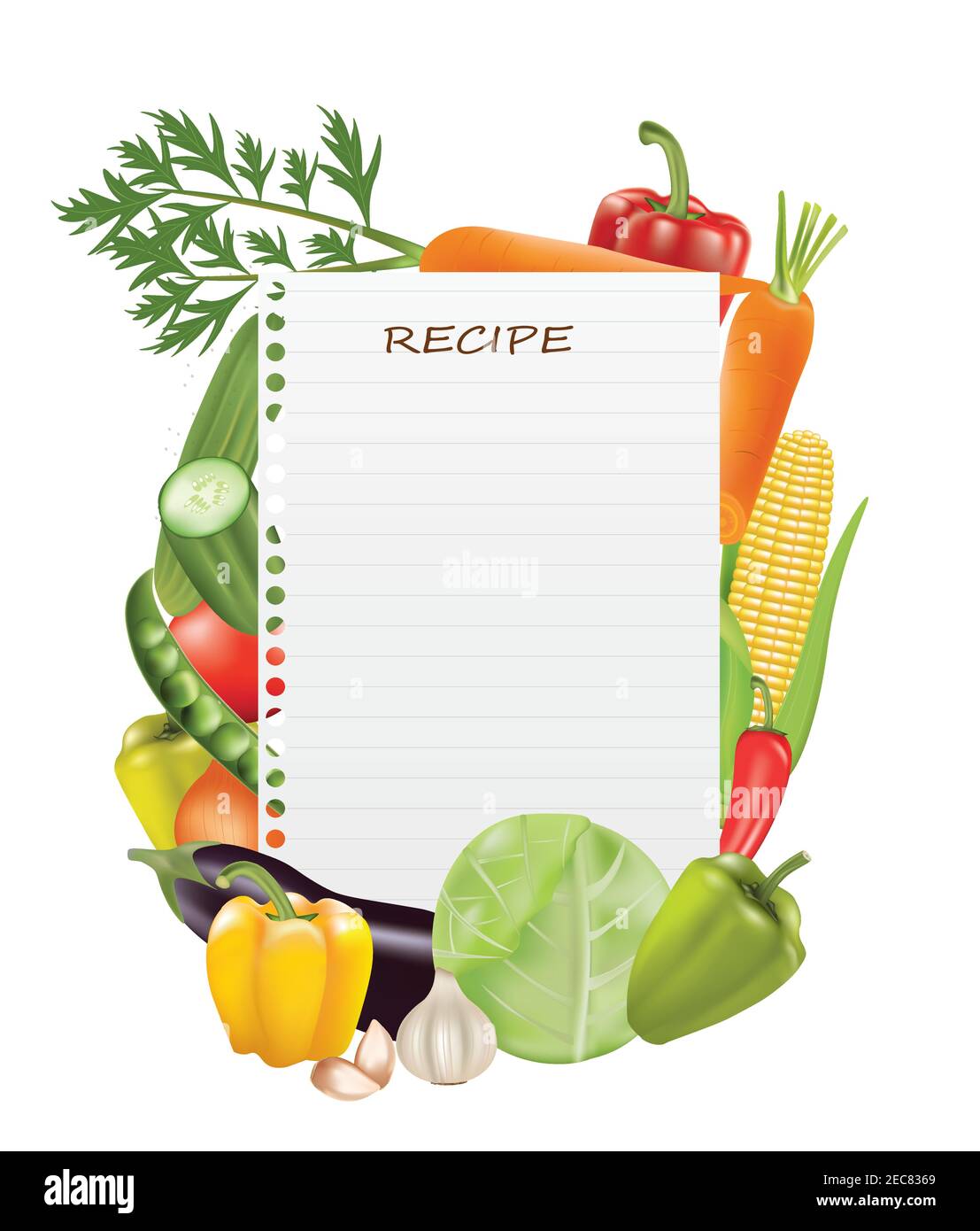 Paper sheet recipe with vegetables. vector illustration Stock Vector ...