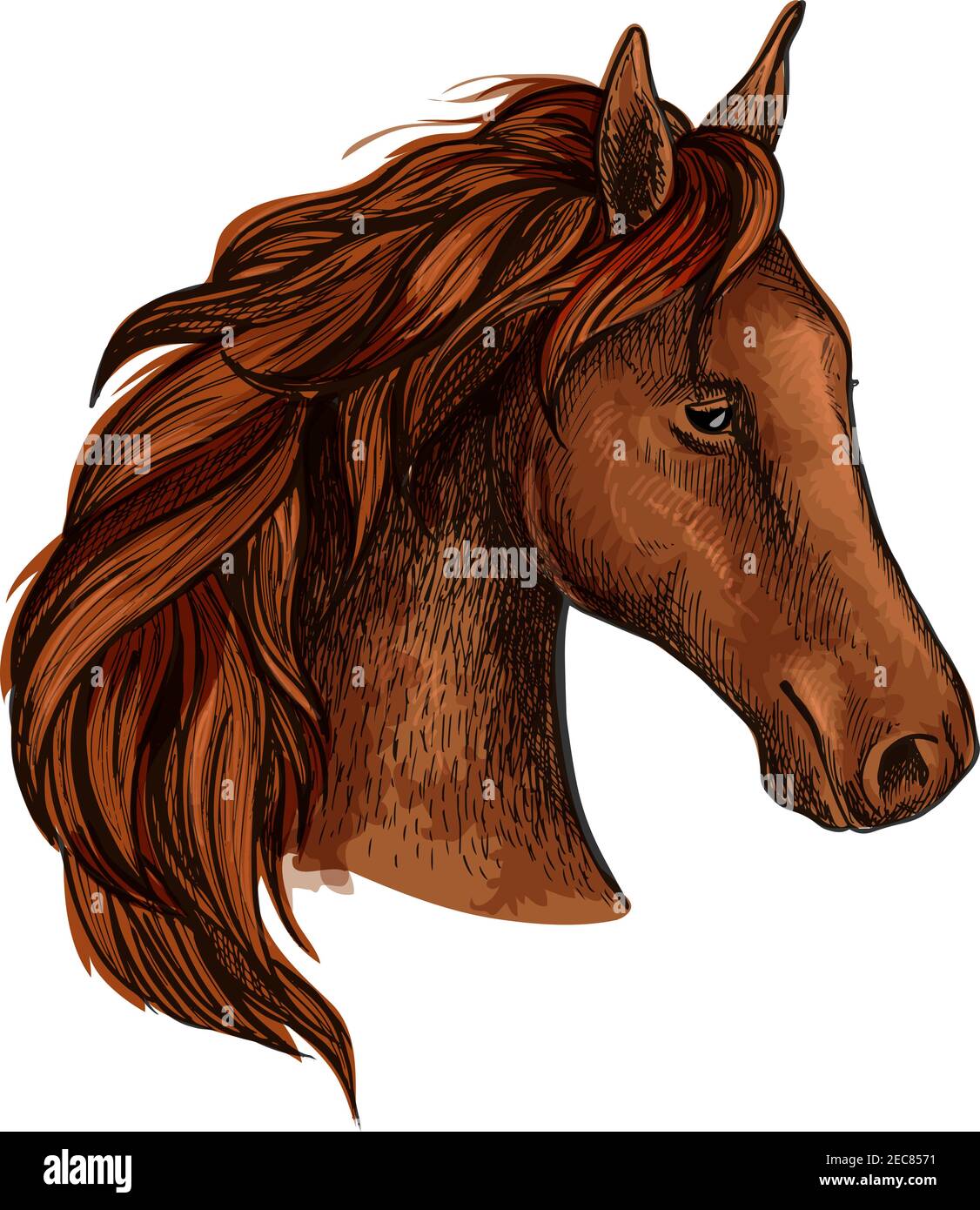Race Horse Head Drawing