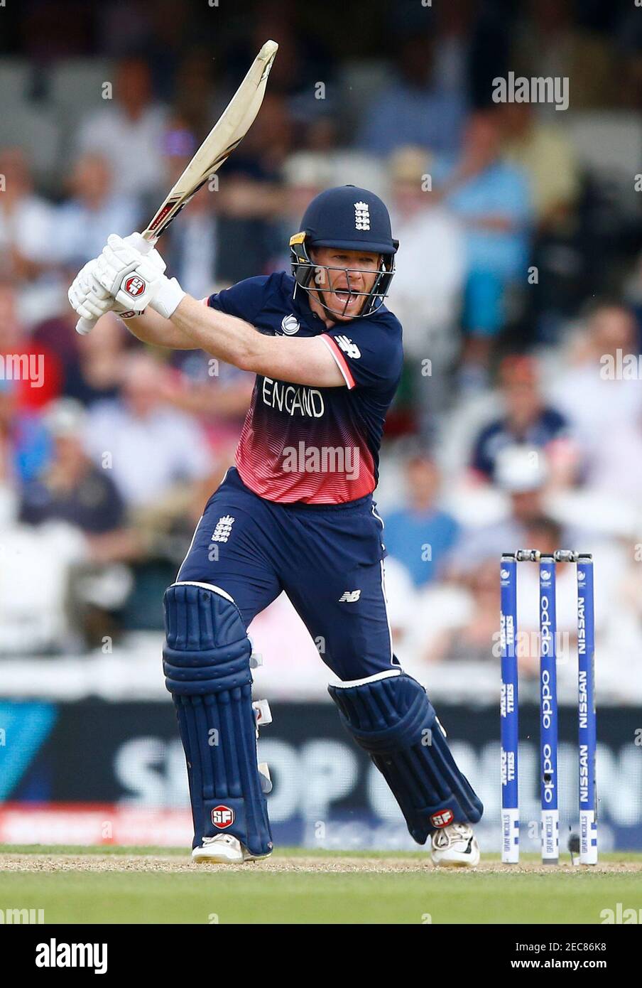 Eoin morgan bangladesh hi-res stock photography and images - Alamy