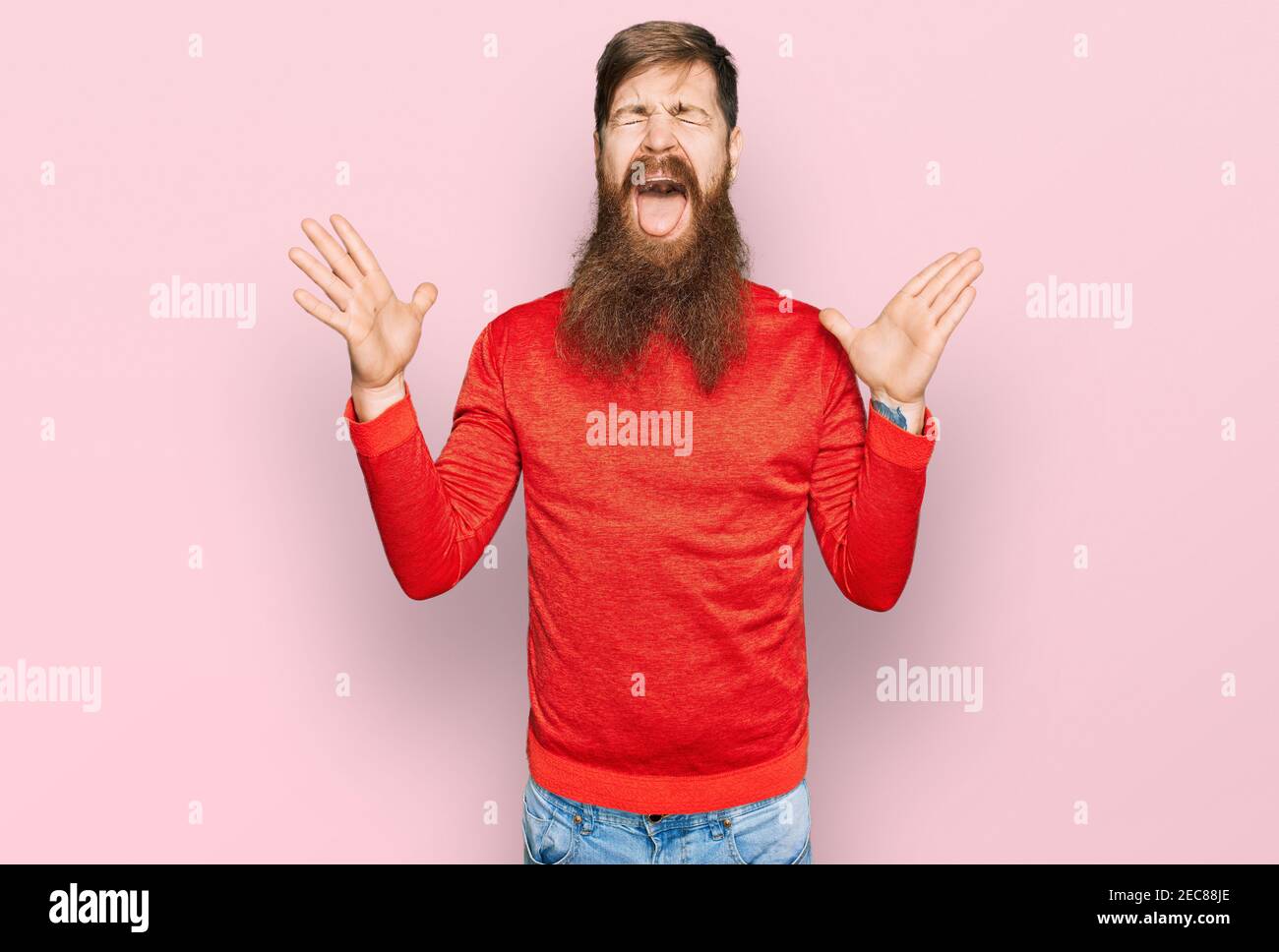 Redhead man with long beard wearing casual clothes celebrating mad and ...