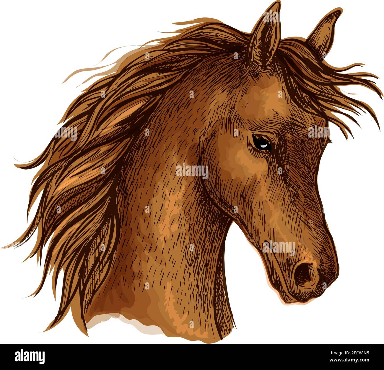 Flying pace Stock Vector Images - Alamy