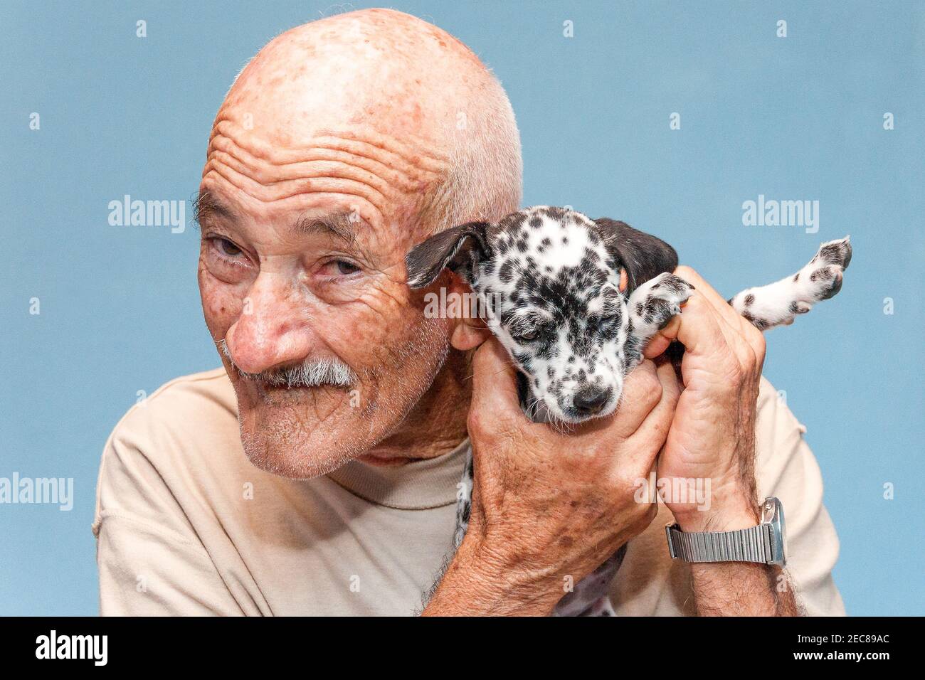 Dalmatian man hi-res stock photography and images - Alamy