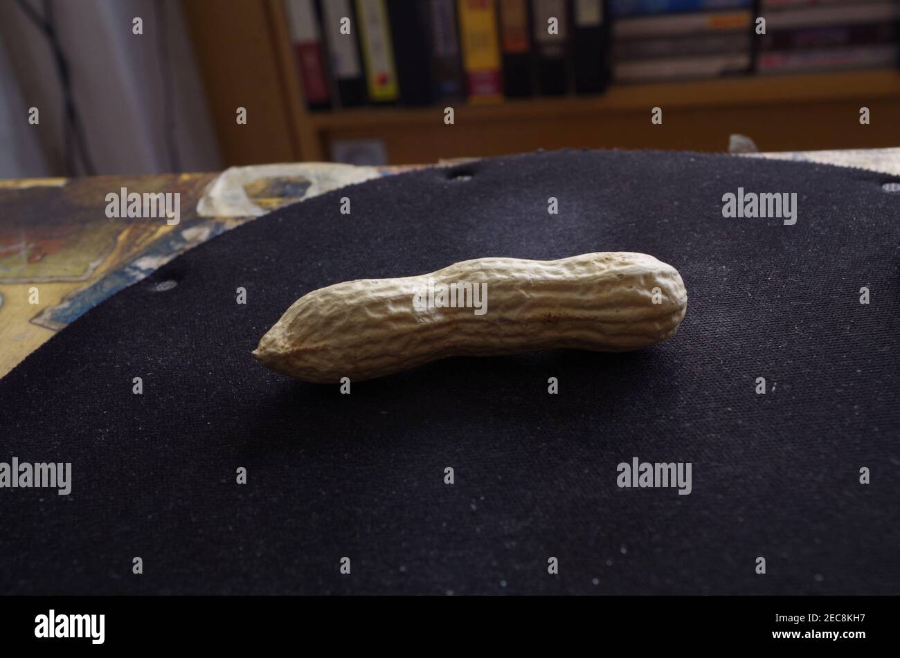 a close up view of a unusual triple peanut Stock Photo - Alamy