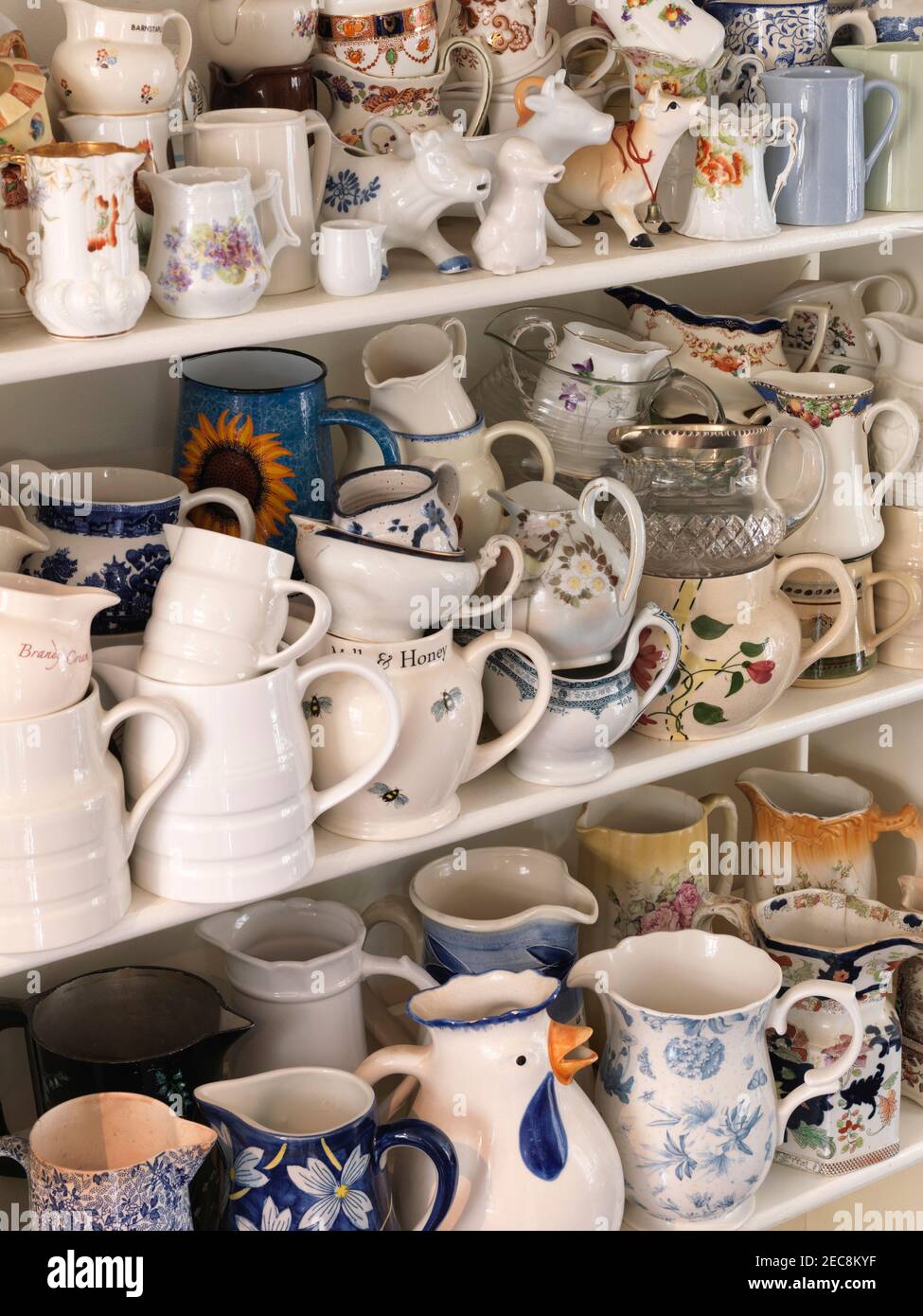 collection of jugs on shelves Stock Photo - Alamy