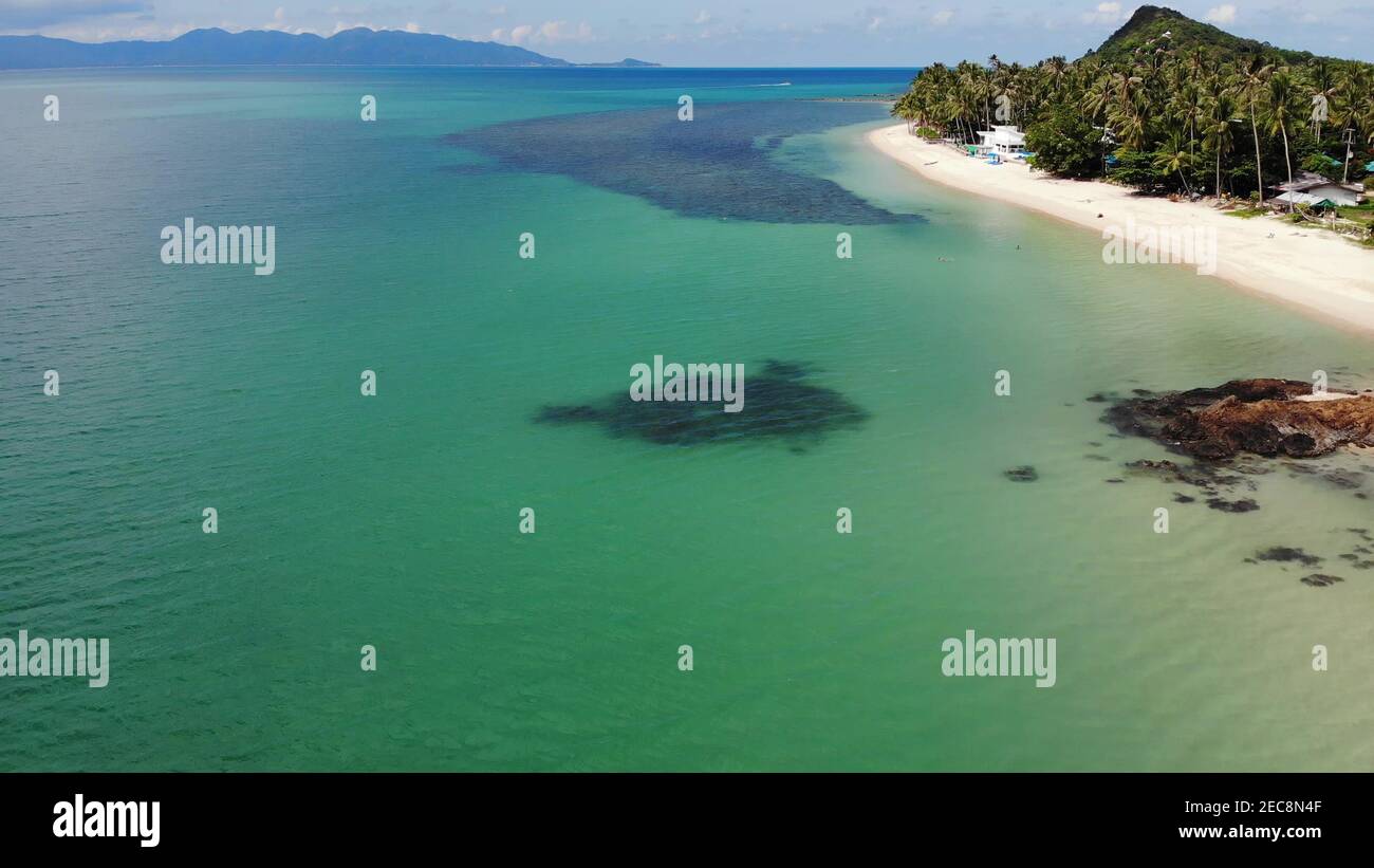 Green jungle and stony beach near sea. Tropical rainforest and rocks ...