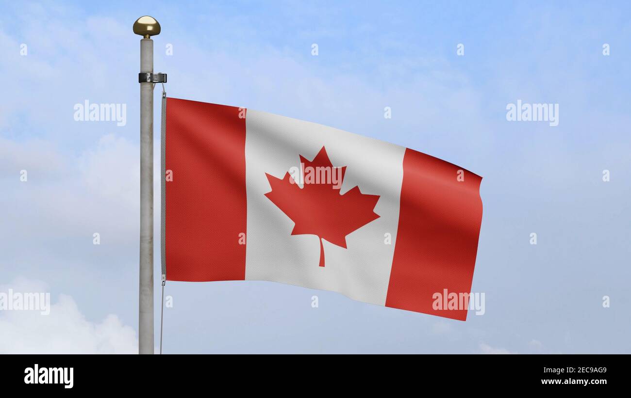 3D illustration Canadian flag waving in wind. Close up of Canada banner ...