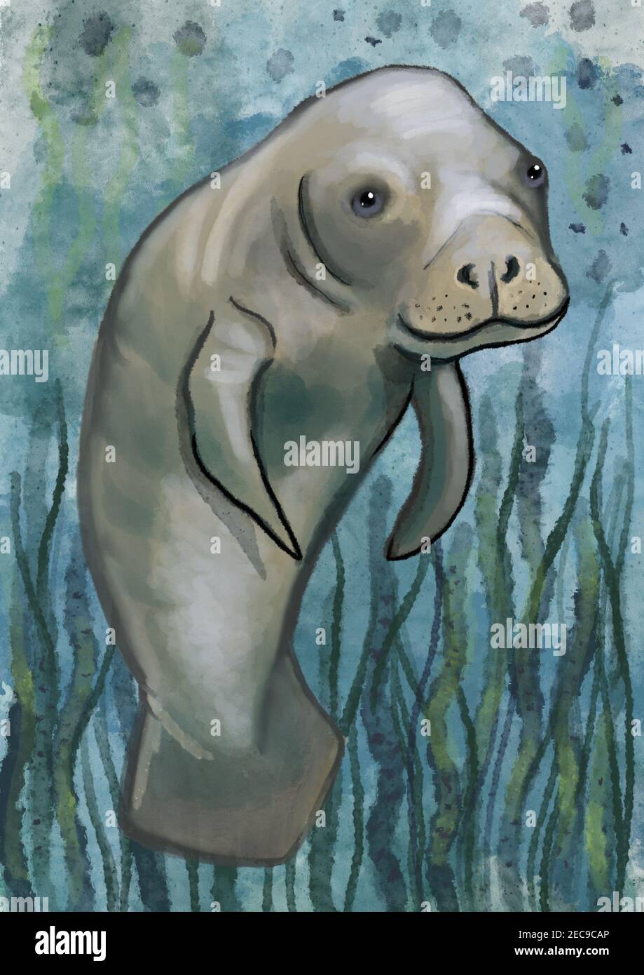 Cute Manatee illustration Stock Photo - Alamy