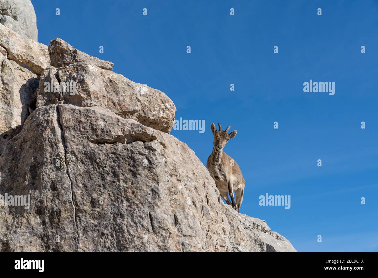 High rocky promontory hi-res stock photography and images - Alamy