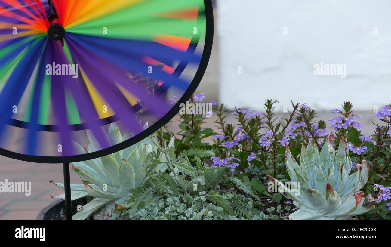 Colorful pinwheel spinning, weather wind vane, garden decoration in USA ...
